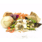 Finding the Right Mix of Food for Your Composting Worms
