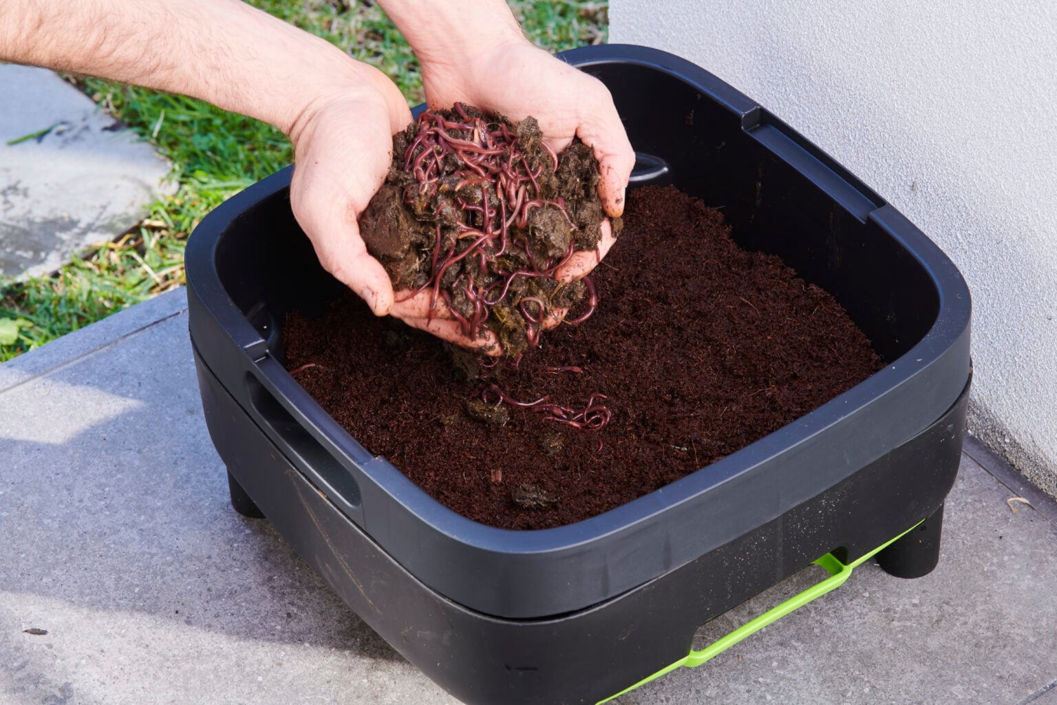 Maze Worm Farm + Free Composting Worms | Uncle Jim's Worm Farm