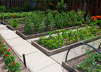 Six Tips for Gardening in Dry Weather - Uncle Jim's Worm Farm